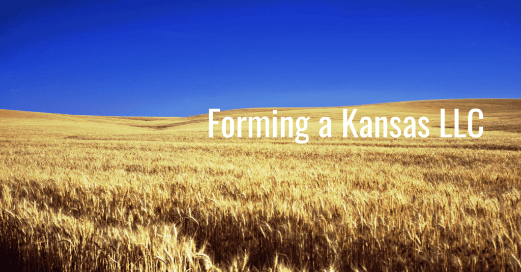 Do I Need an EIN for an LLC? All Situations Explained